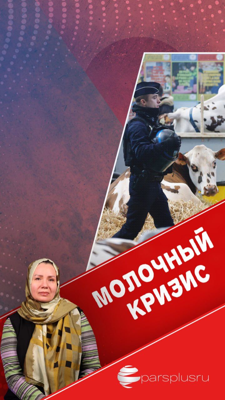 «Молочный кризис»_социальный разлом в Израиле