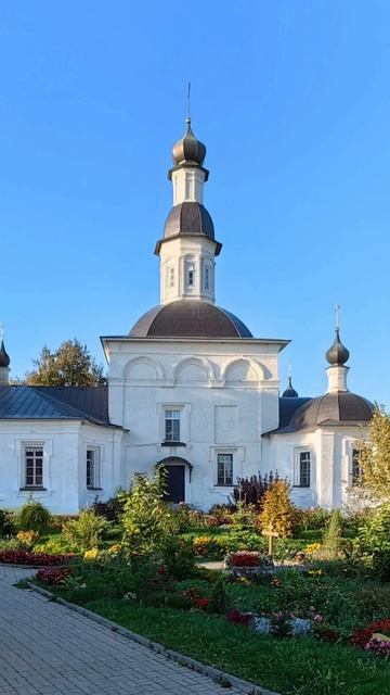 Душевный лекарь#Церковь#shortvideo#shorts#Молитва#Православие