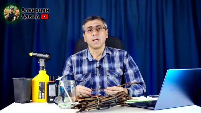 Как проращивать черенки винограда в домашних условиях_ Ответы на часто задаваемые вопросы!