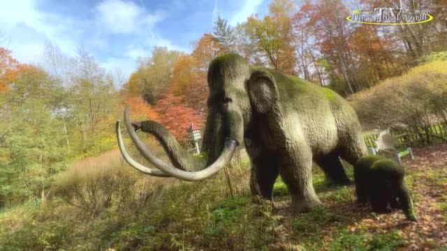 Мудрость 👮 Цитаты  🎥Tierpark am Röhrensee - Bayreuths lebendiger Süden 💐🍇🌹🌸🦋