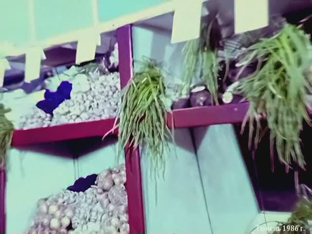 1986 год. Тюмень. В продовольственных магазинах города.