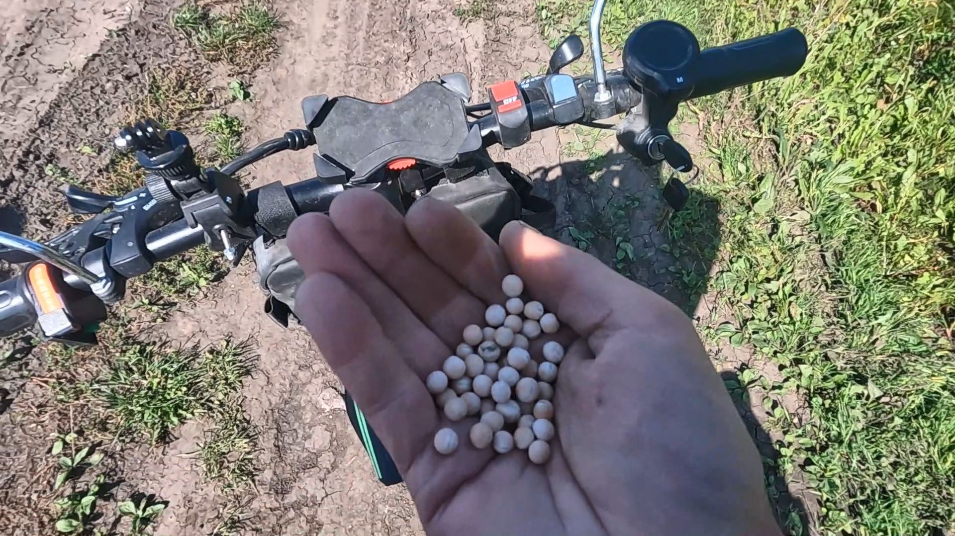 Приборный поиск. Гороховое поле.