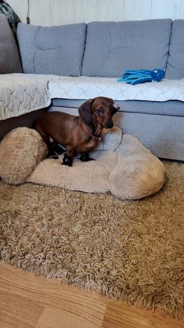 Получили ботиночки