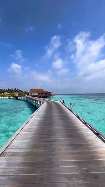 Мальдивы 🇲🇻