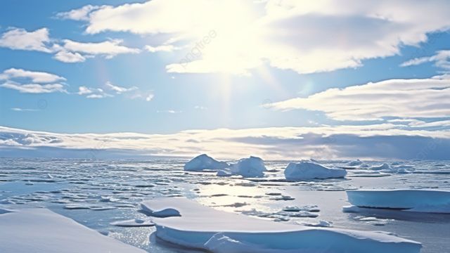 Ирония Анусовой или С Лёгким Пранком