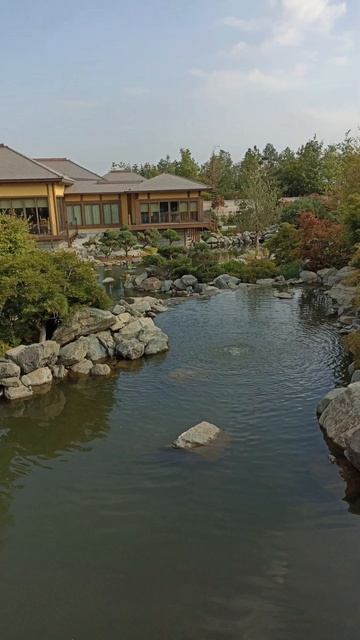 Осень в Японском саду в парке Сергея | Серега скалолаз развлекается #паркГалицкого #серега #shorts