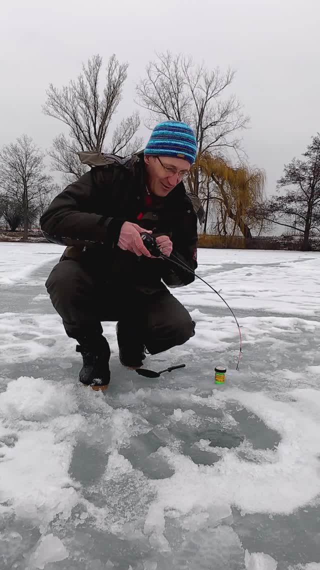 НЕ УСПЕЛ докончить фразу как она клюнула! #щуканажерлицы