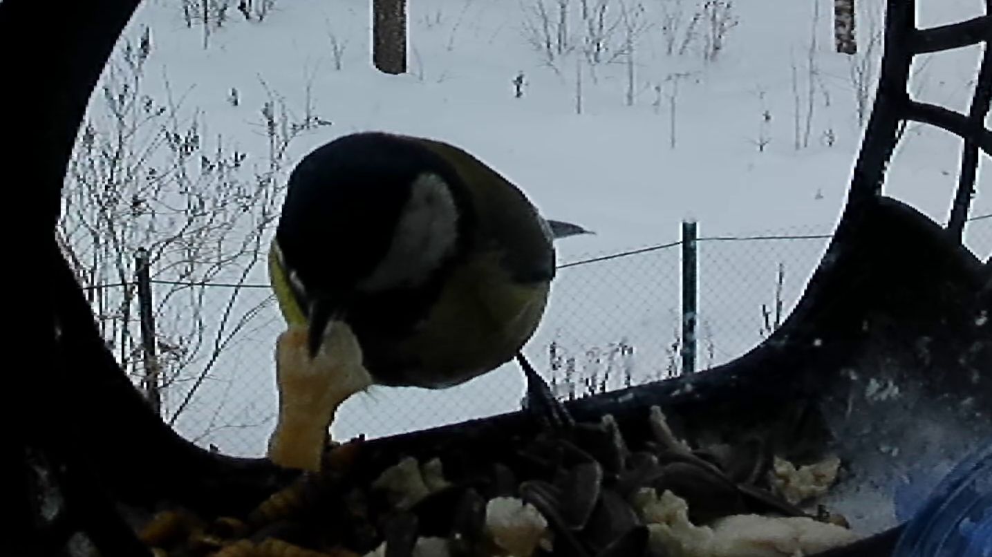 Яичная добавка или второй ужин