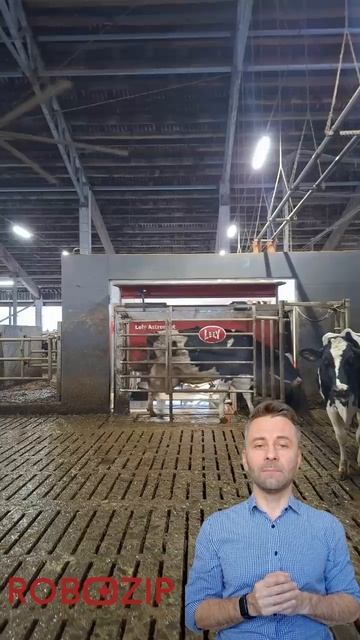 Qwes HR-LDn Оригинальный артикул: 9.1189.0296.0, 9.1189.0295.0, 9.1189.0340.0