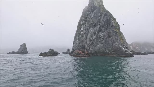 Идеальный фон для йоги, медитации и учебы: Тихий океан