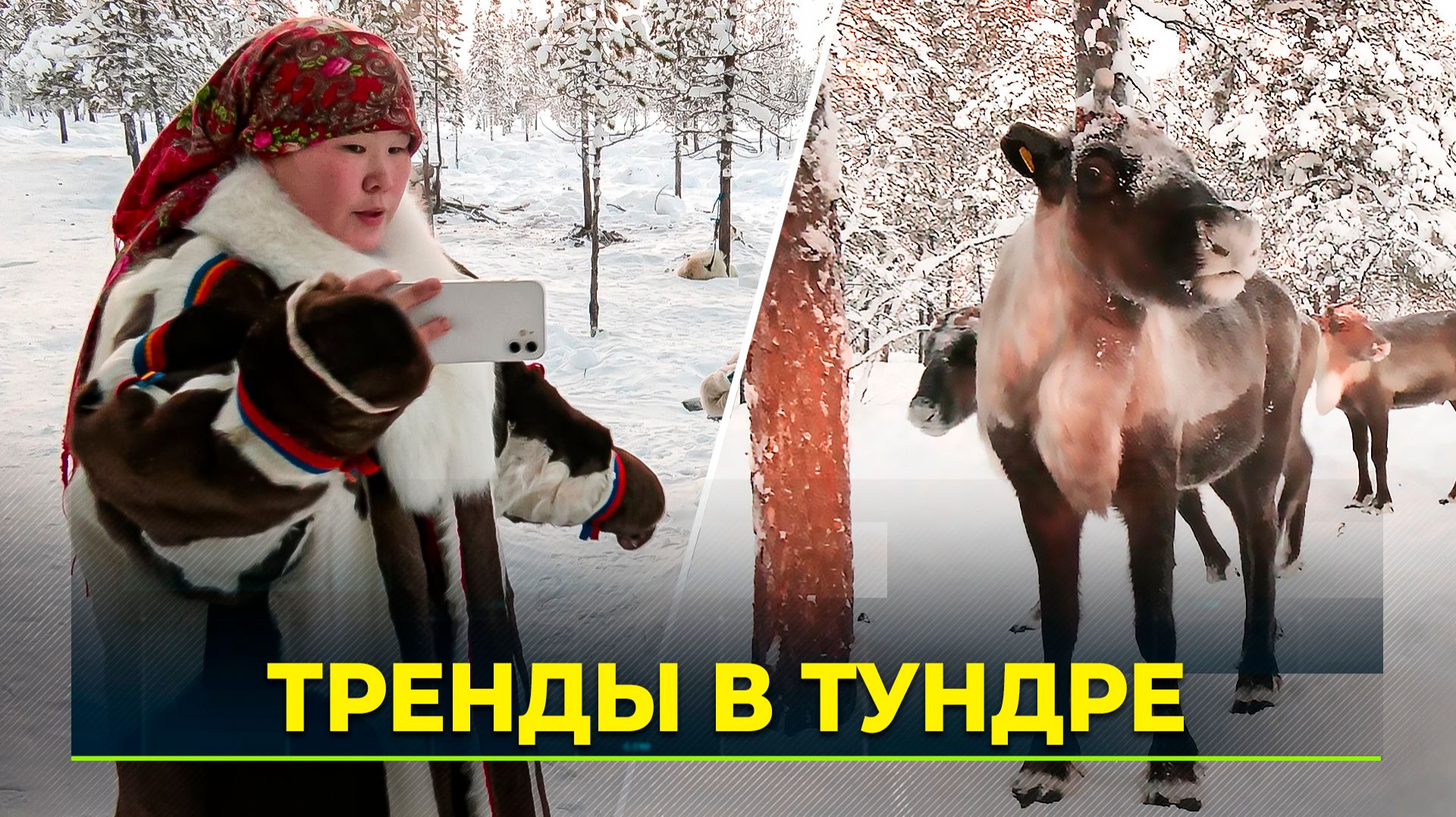 Блогер в чуме