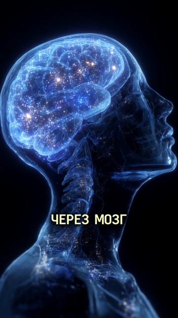 Возможно ли создать Интеллект_