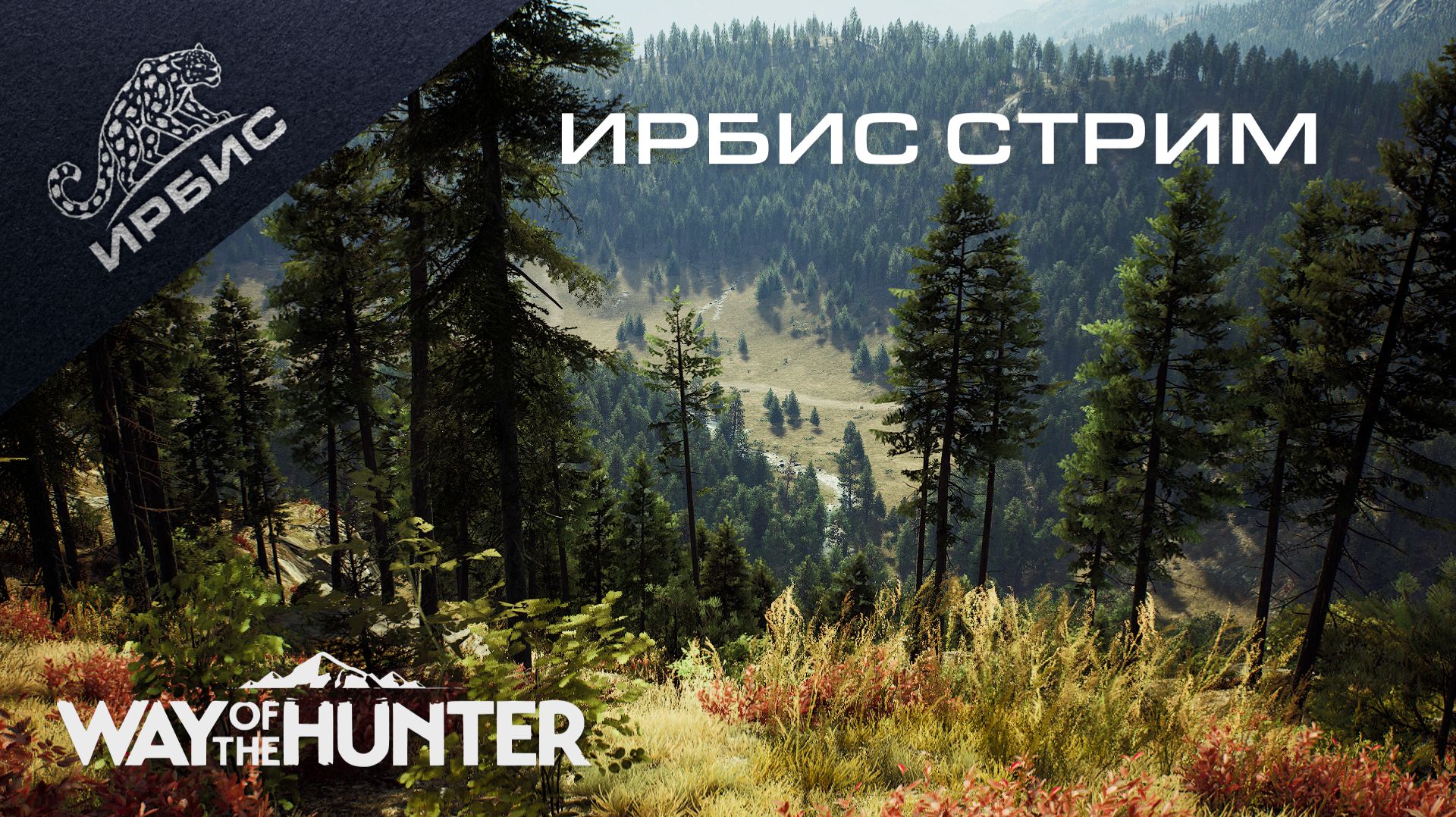 Way of the Hunter | Охота за оленями! | 4