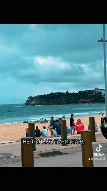 Bondi Beach — знаменитый пляж Сиднея. Австралия