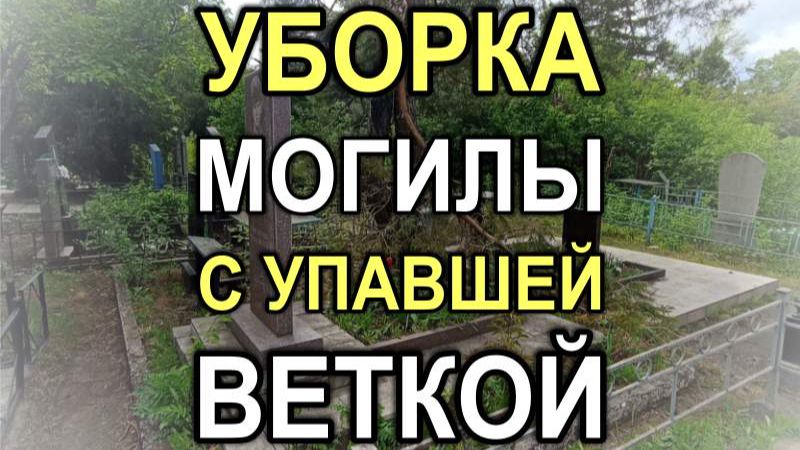 Объект 551M - Уборка могилы с обрезкой упавшей ветки, Кривой Рог