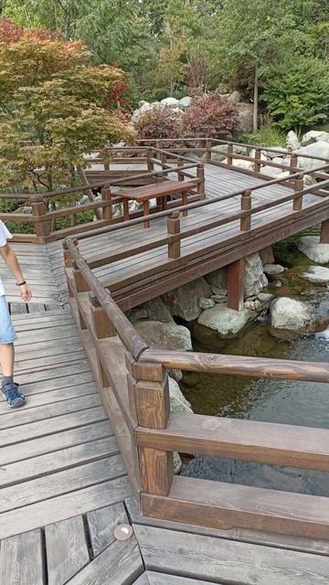 Деревянная тропа в Японском Саду | Серега скалолаз развлекается #паркГалицкого #серега #shorts