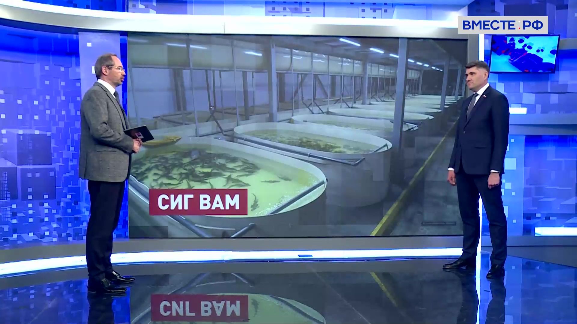 Восстановление популяции ценных пород рыб. Владимир Пушкарев. Сказано в Сенате