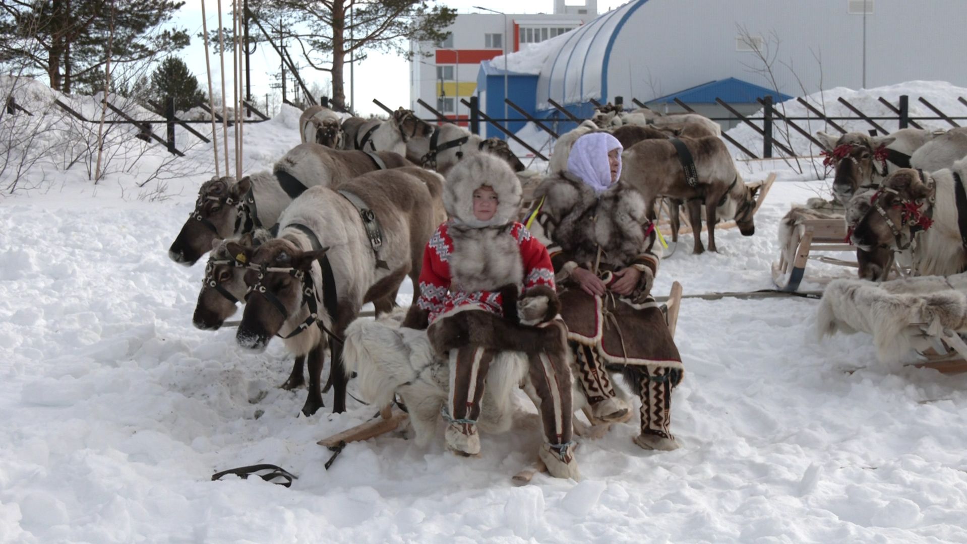 В Казыме пройдёт 85-я олимпиада оленеводов