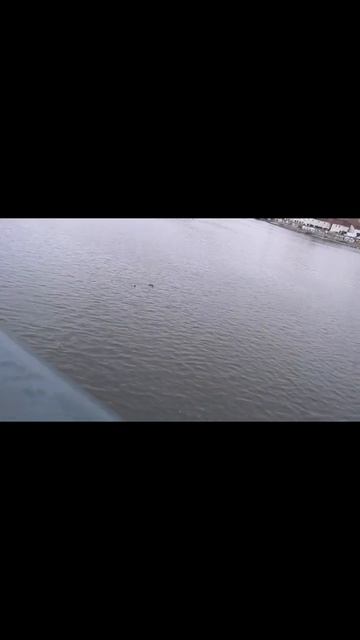 Прага. Карлов мост