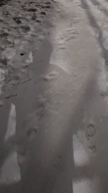 18 февраля 2026