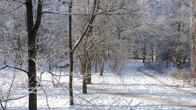 2026-02-18 Февраль. Вид из окна.