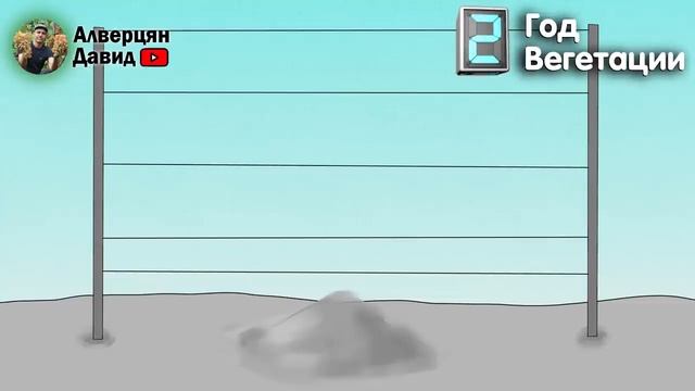 Как правильно обновить или заменить старые рукава