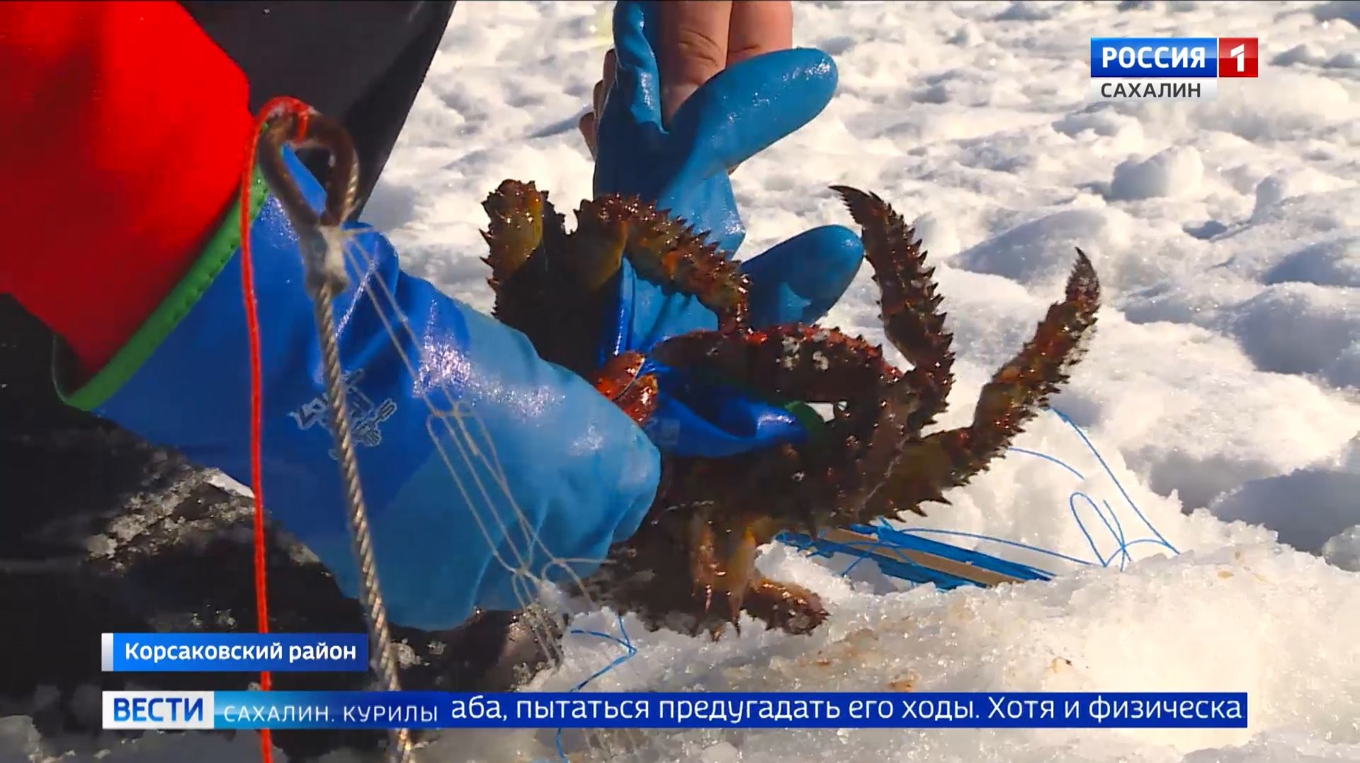 "Вести. Сахалин. Курилы". 17 февраля 2026 года