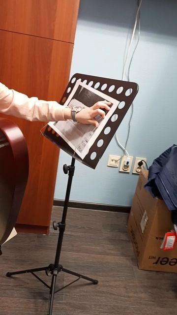 Арфа. "В моём прекрасном замке", испанская детская песня