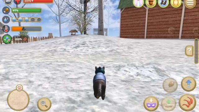 Играю в симулятор кошки за кошку в зимнем костюме