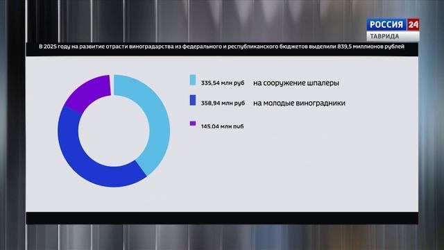 Крым в Цифрах: Выпуск 19.02.2026