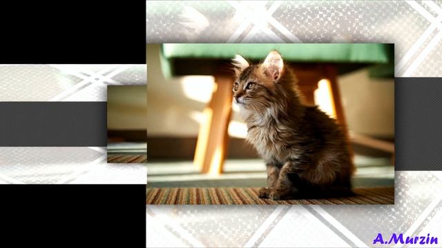 Ramio Lin - Кирай - ыжигающий Слёзы