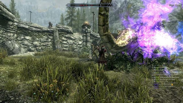 Skyrim Вынесли Братьев Бури и отстроили дом в Фолкрите