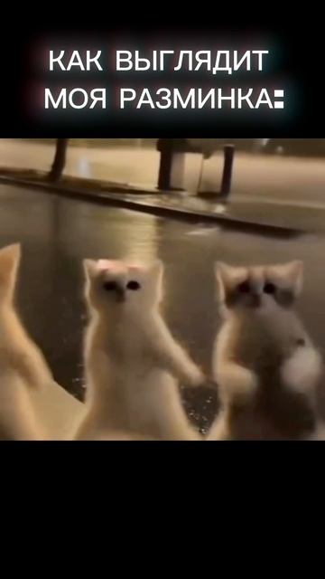 #19 Лучше размяться и забить на тренировку, чем потренироваться, не сделав разминку.