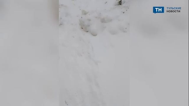 Дончане критикуют бездействие властей в борьбе со снегом