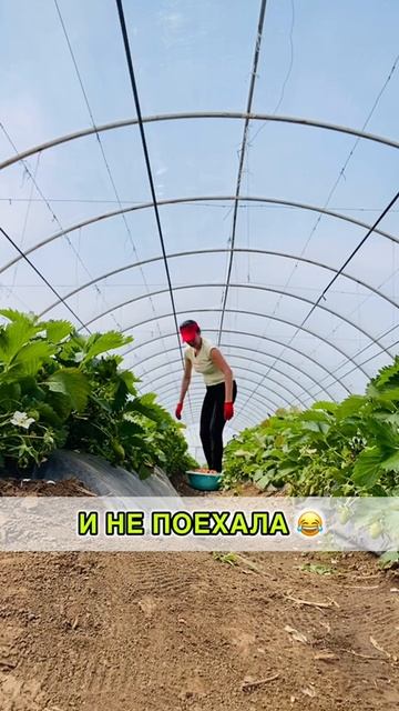 😁 #юмор