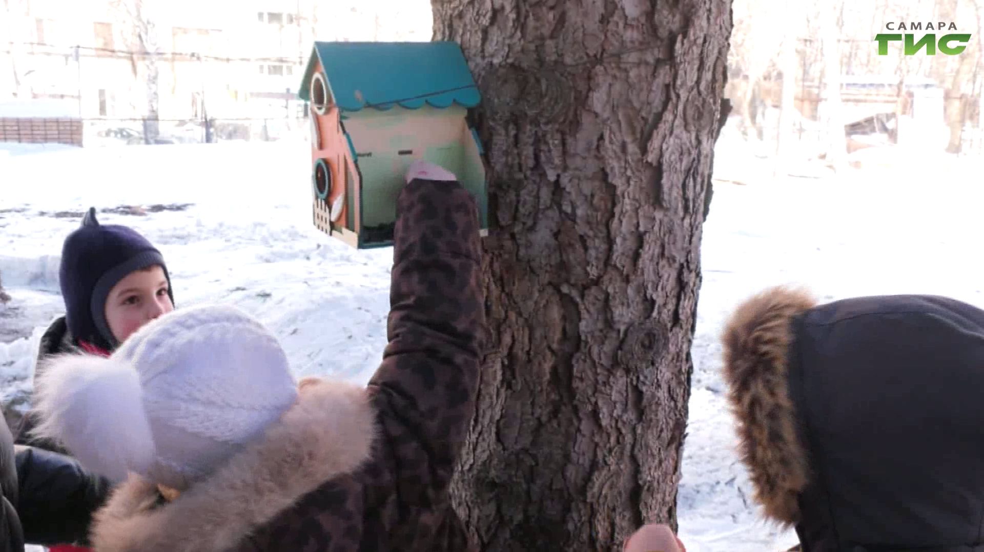 В детском саду № 172 Самары прошла акция "Покормите птиц зимой"
