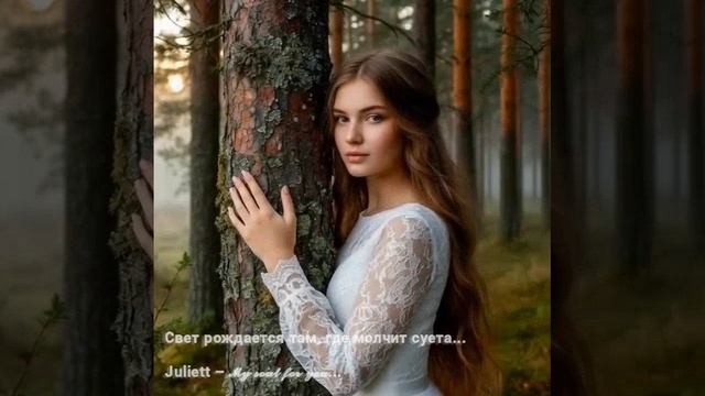 Свет рождается там, где молчит суета..