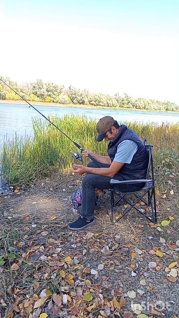 Ещё один прекрасный день. Астрахань. Природа. Октябрь 2025