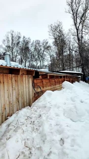 Говорили: "Сложатся!" А они выдержали! 💪😏