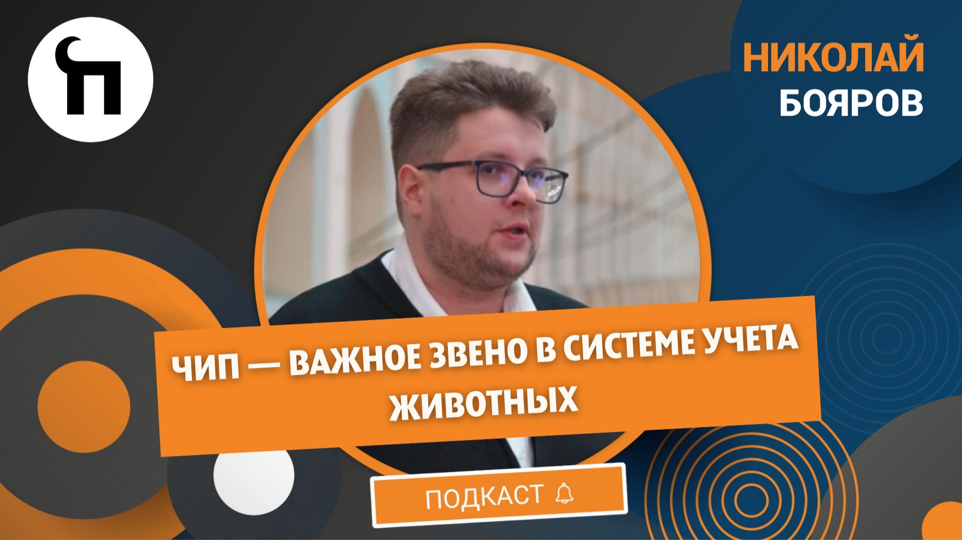 Развенчиваем мифы о чипировании питомцев