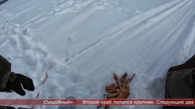 20.02.2026 Сахалинские блоги. ВИДЕО ОТ СВЕТЛАНЫ. Ловим краба