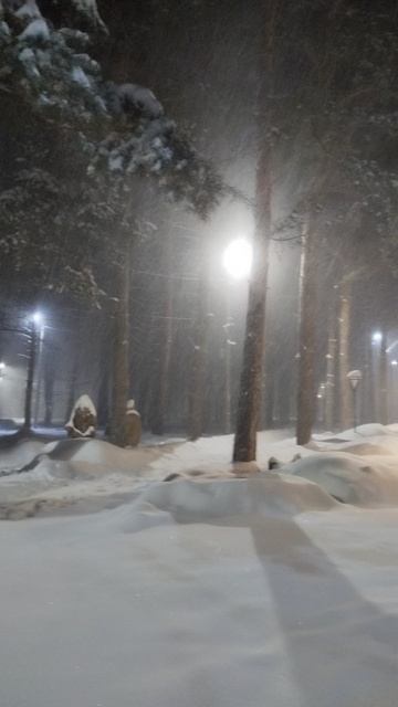 PXL_20260219_064720352