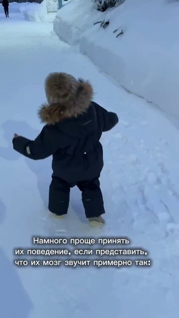 Что у мальчишек в голове?