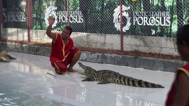 Тайланд крокодилы