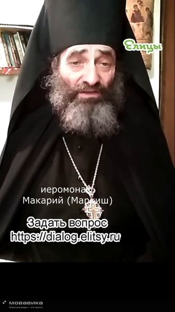 Дружить с Европой. Иеромонах Макарий (Маркиш) #shorts Backup_v85