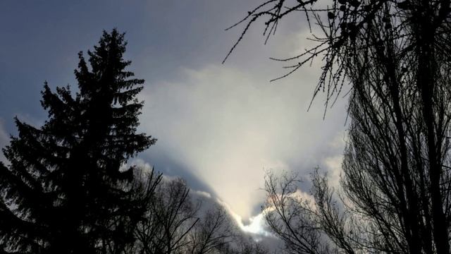 День сегодняшний и цены на фрукты