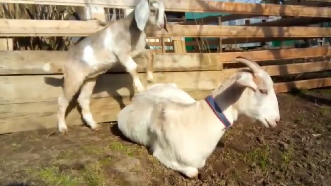 Тренажёр для прыжков