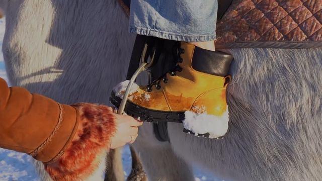 Наша конюшня- рекламное видео