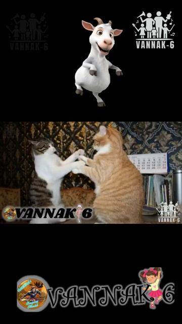 Ладушки-ладушки