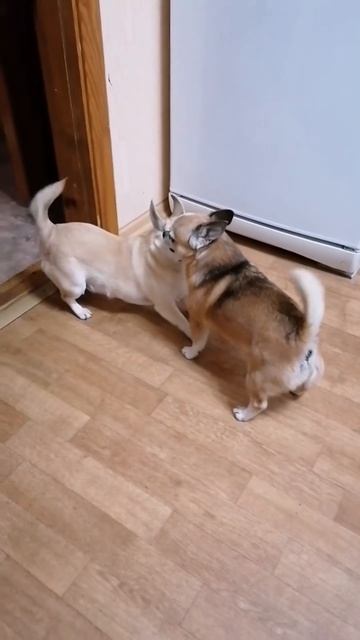 Давай поиграем!!!